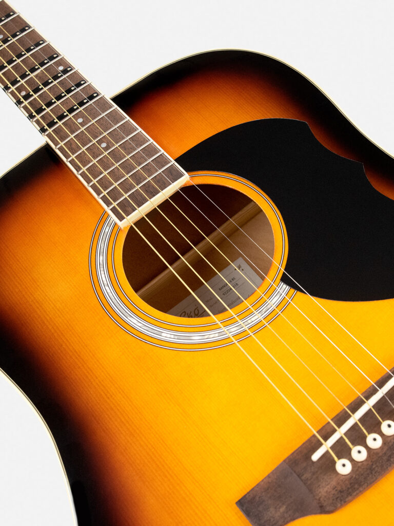 VN Bundle Acoustic Eko Ranger 6 + MLD – Visual Note