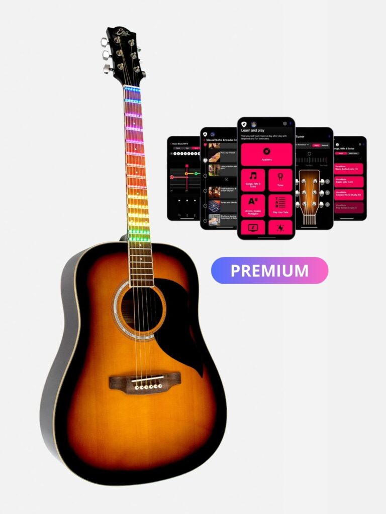 VN Premium Bundle Acoustic Eko Ranger 6 + MLD + Premium – Visual Note